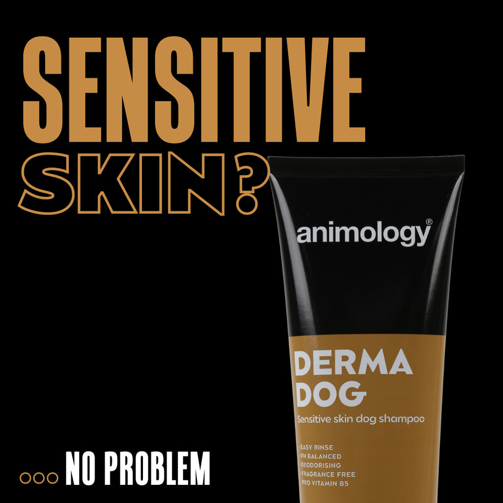 Animology Derma Dog Sensitive Skin Dog Shampoo 250 ml – Petsexclusive