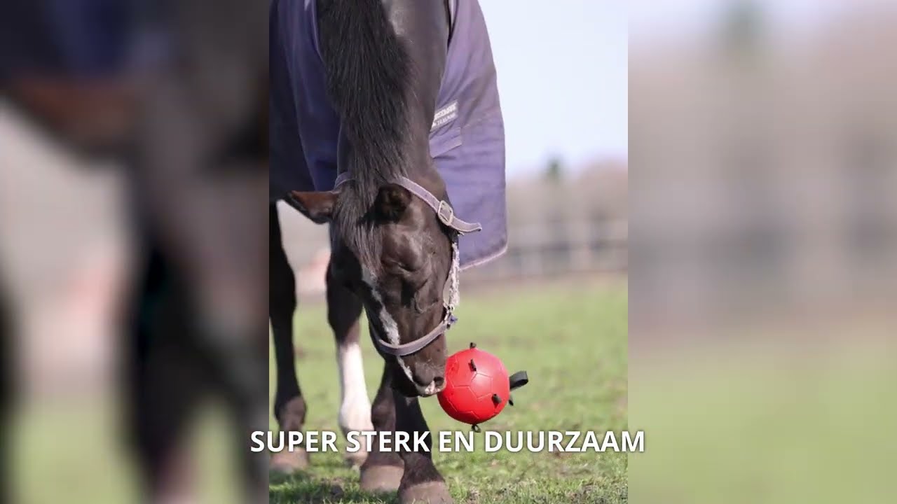 Excellent Horse Fun Play Ball Blauw – Petsexclusive